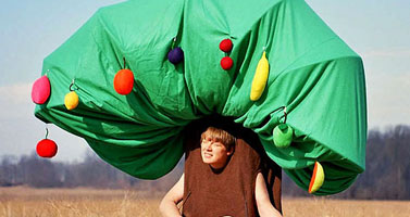 ((Brother Danielson)) Band Profile and Upcoming Chicago Concerts - Oh ...